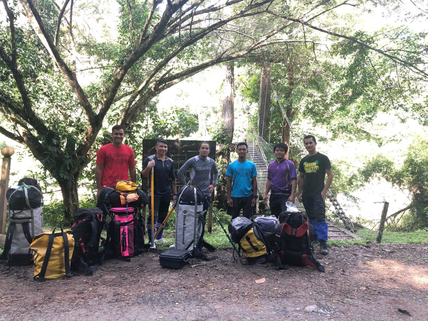 First-ever 100-meter tropical tree discovered – the world’s tallest ...
