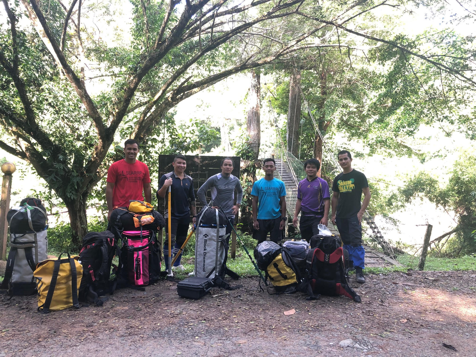 First-ever 100-meter tropical tree discovered – the world’s tallest ...