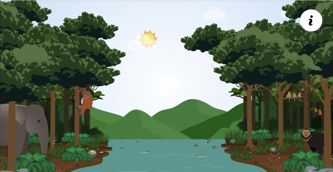 Can riparian buffers support biodiversity in tropical agriculture? – SEARRP