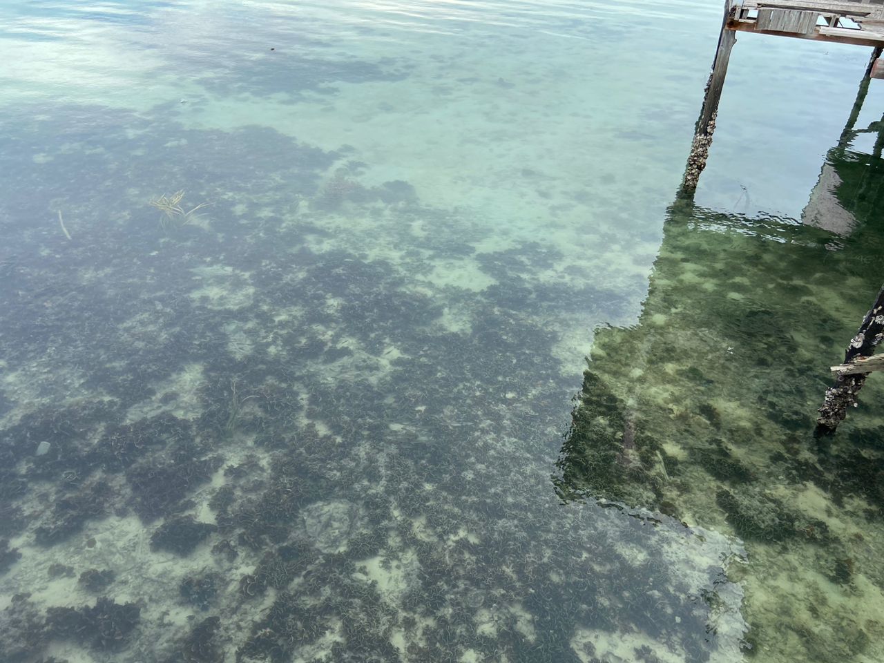 OECM site briefing and assessment at Larapan Island, Semporna – SEARRP