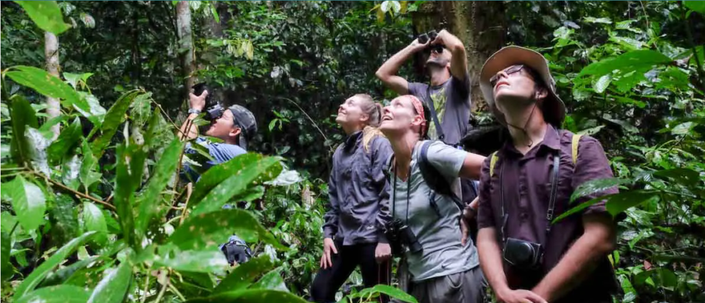 Danum Valley is expecting high numbers of visitors and tourists ...